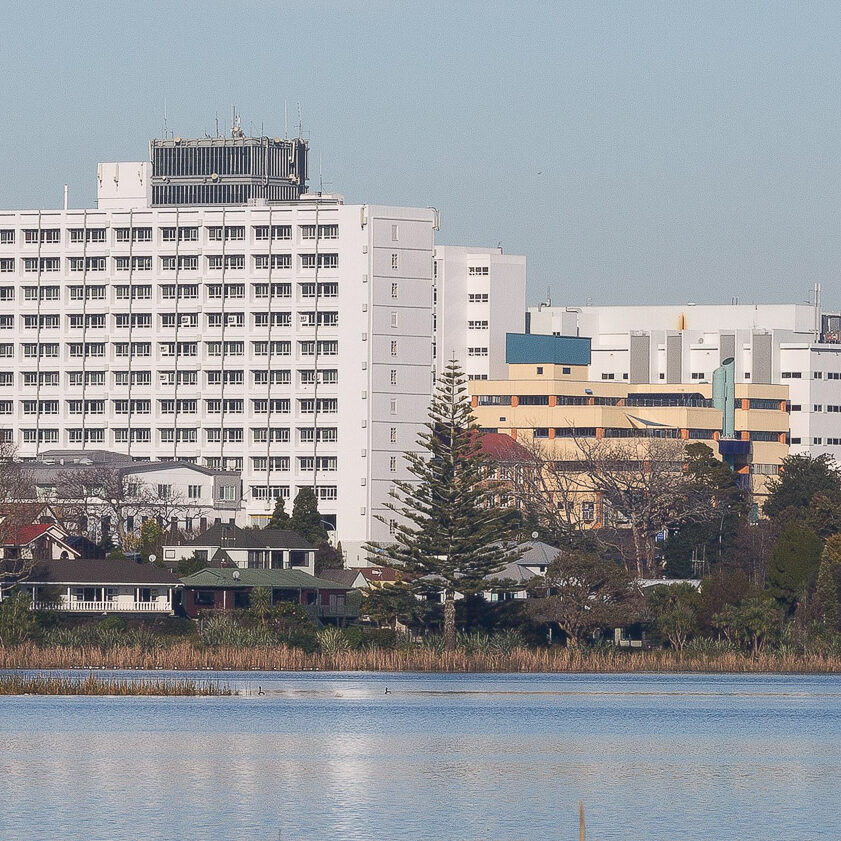 Waikato and Thames Hospital Redevelopment - RDT Pacific